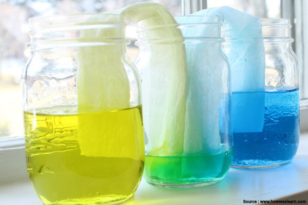 Walking Water Experiment | Learn Science, Robotics and Artificial ...