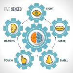 Learning Through Our 5 Senses | Learn Science, Robotics and Artificial ...