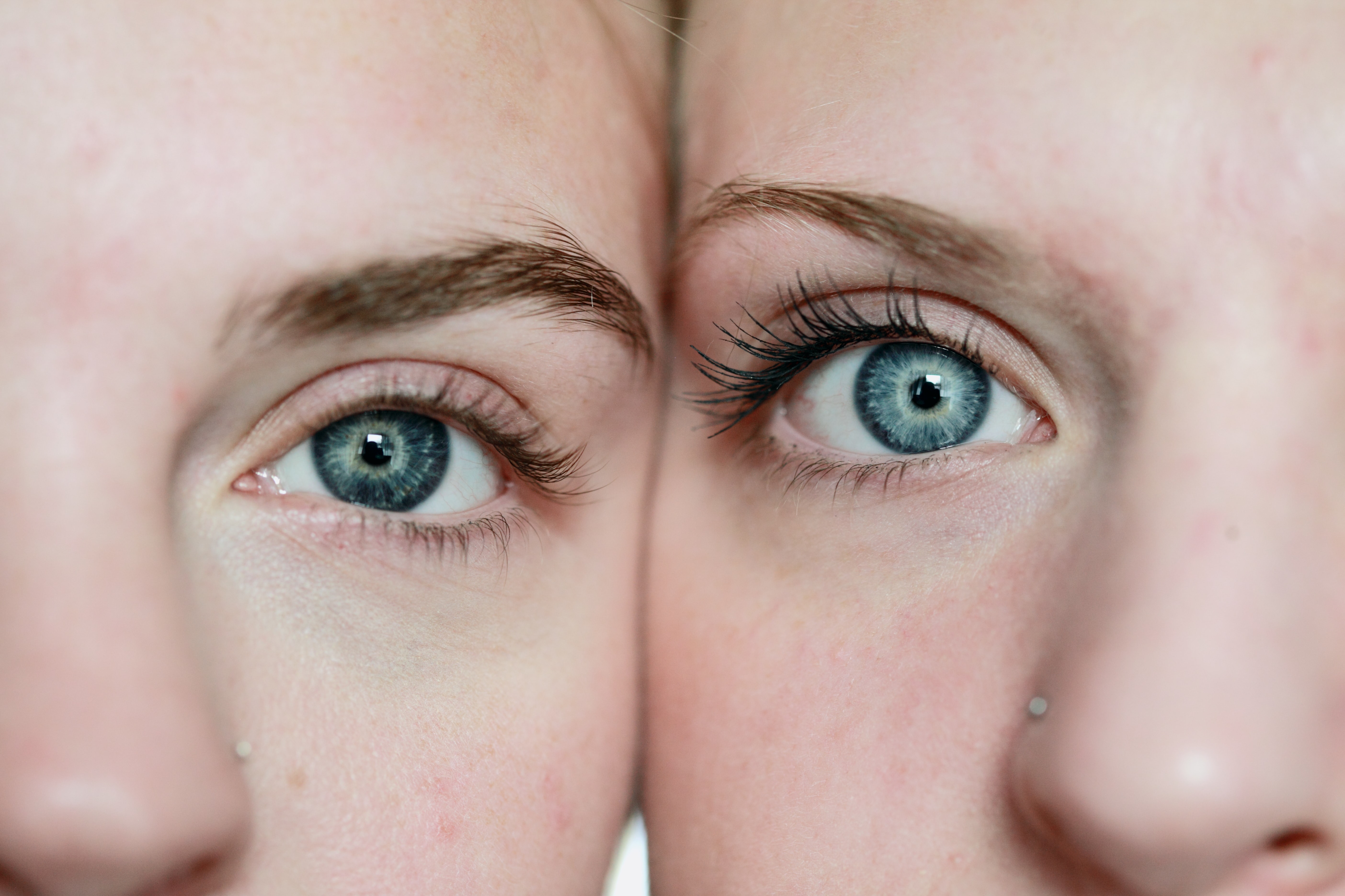 Why Identical Twins Don t Always Look The Same