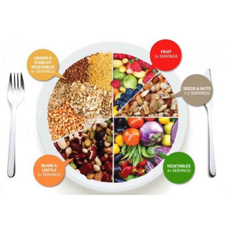 Components of Food – Part 2 | Learn Science, Robotics and Artificial ...