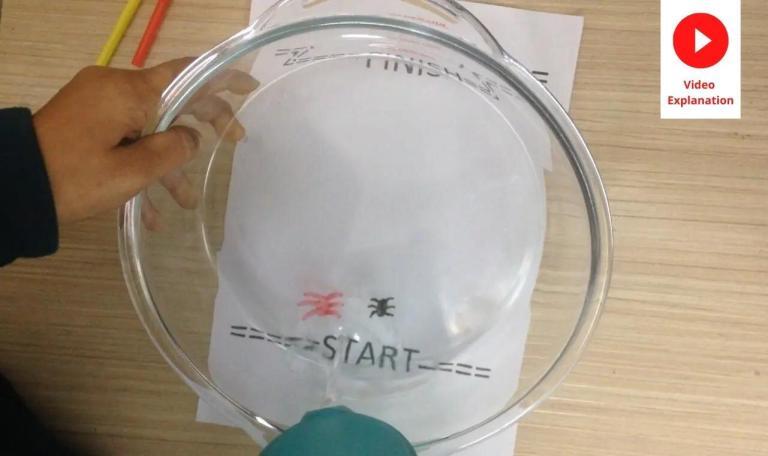 Floating Drawings! – Whiteboard Marker Fun Experiment | Experihub Learning