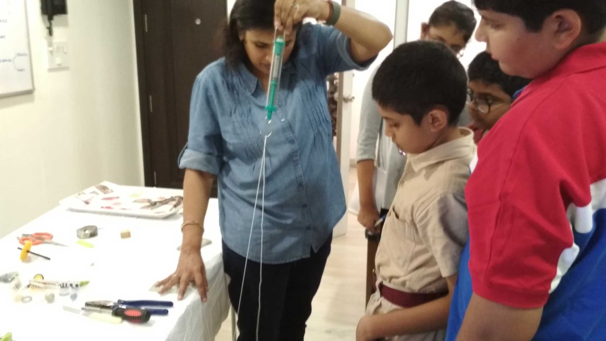 Gallery | Learn Science through Experiments