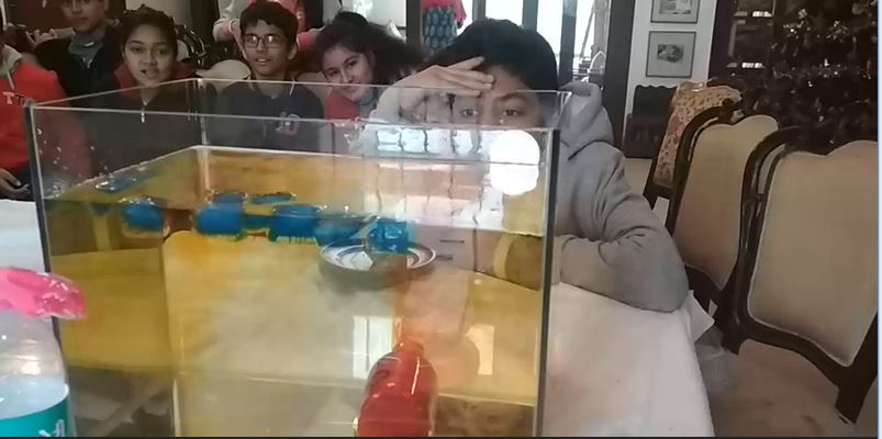 Gallery | Learn Science through Experiments